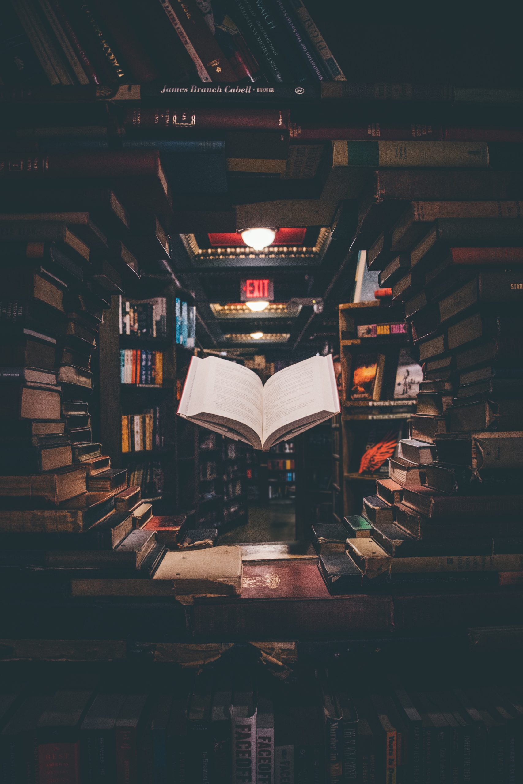 The Pleasures of Reading a Physical Book